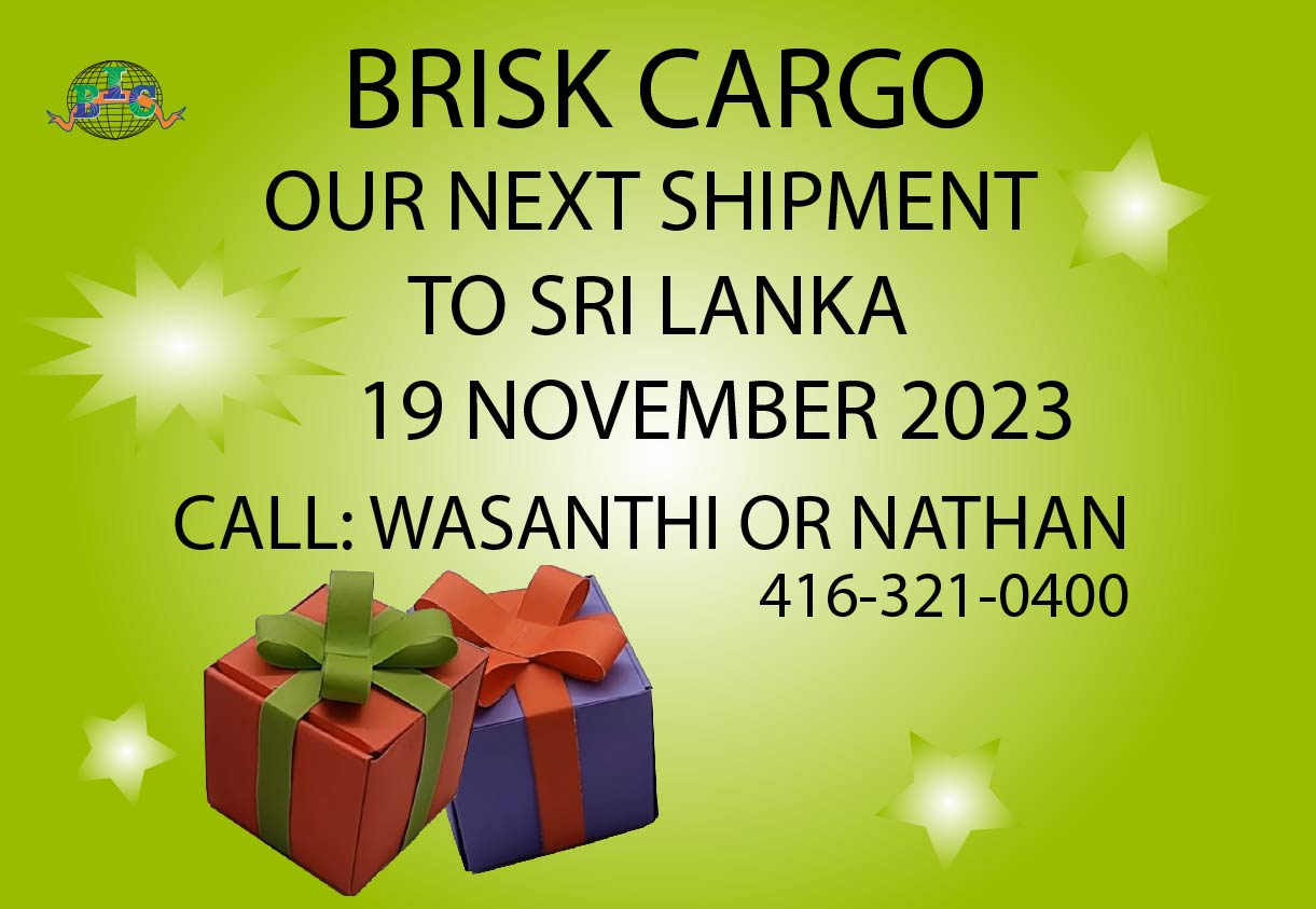 Brisk Cargo – Shipping, logistics and Packing